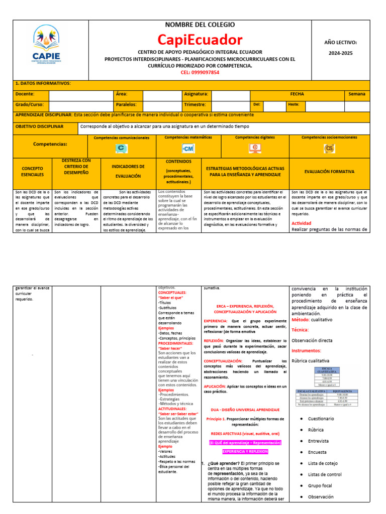 PLANIFICACION MICRO CURRICULAR 2024-2025 BLANCO | PDF | Aprendizaje | Evaluación
