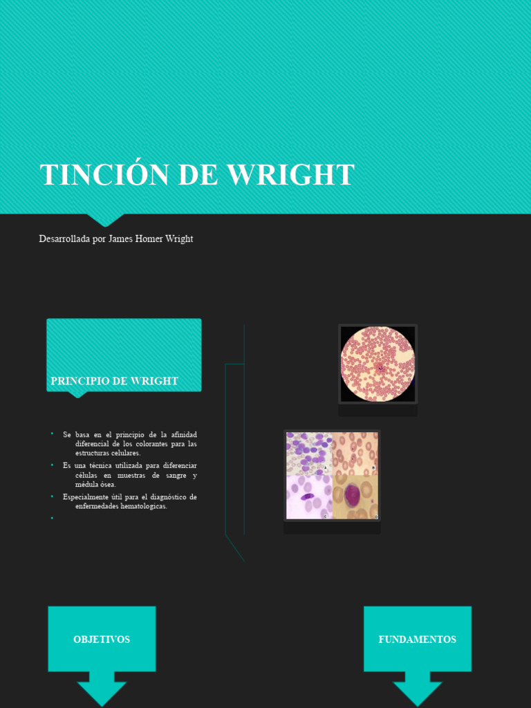 TINCION DE WRIGHT | PDF