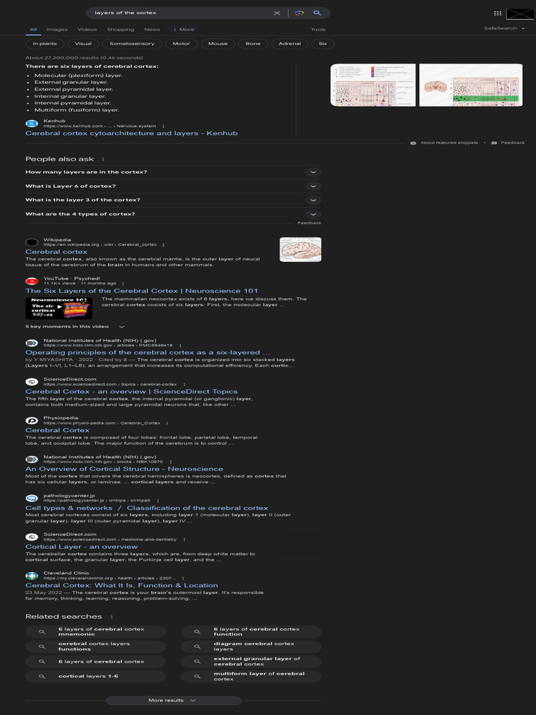 Neuroscience: 6 Layers of Cerebral Cortex | PDF | Cerebral Cortex | Cerebellum