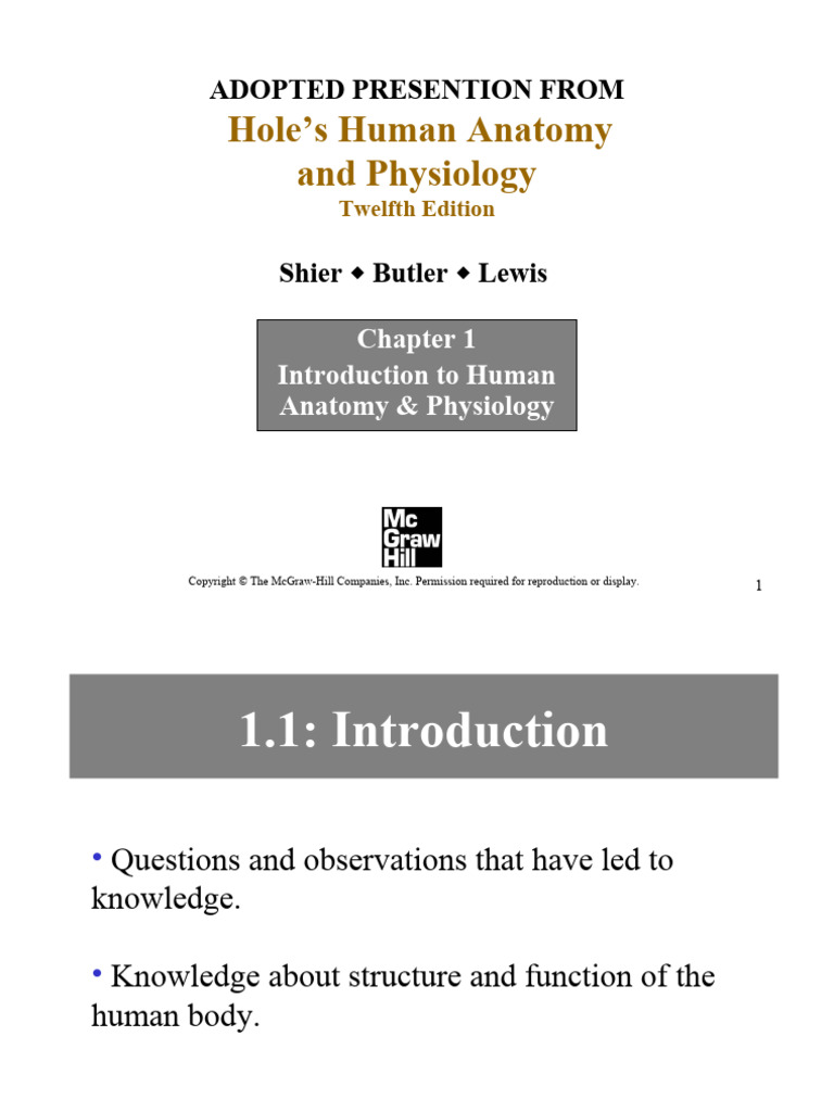 Chapter 1 Introduction To Human Anatomy and Physiology | PDF ...
