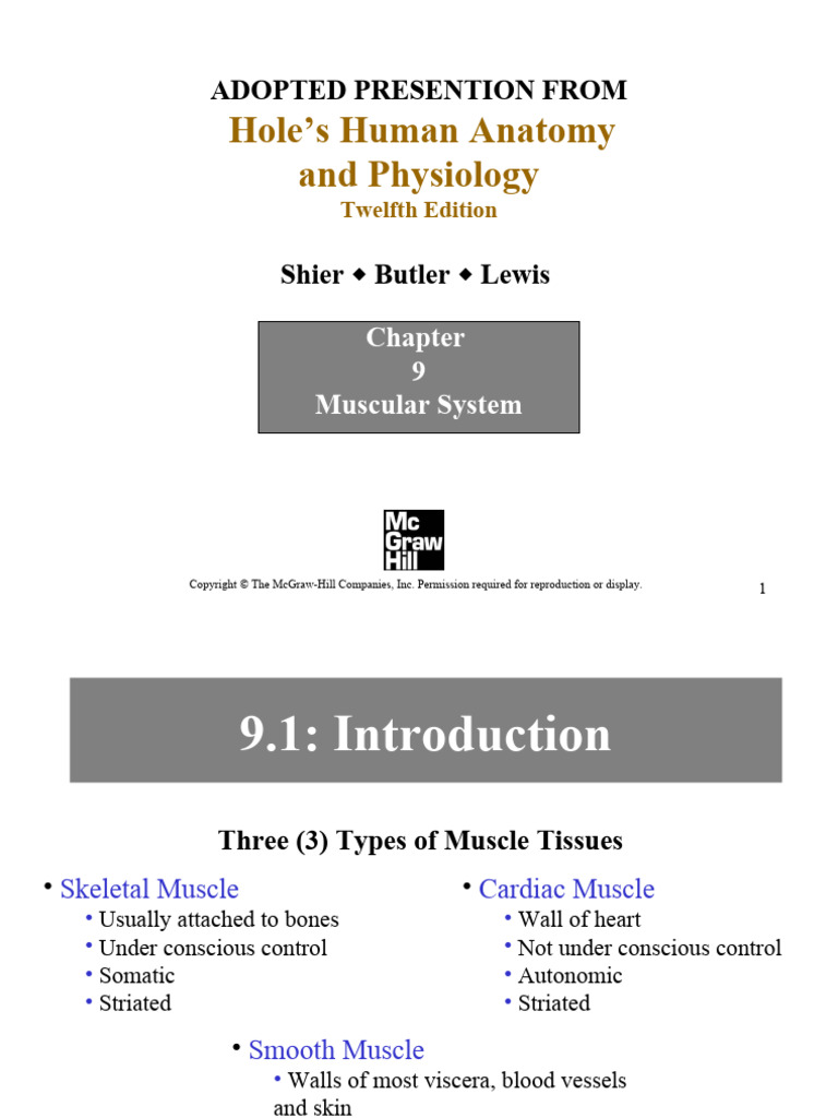 Chapter 9 Muscular System | PDF | Muscle Contraction | Cellular Respiration