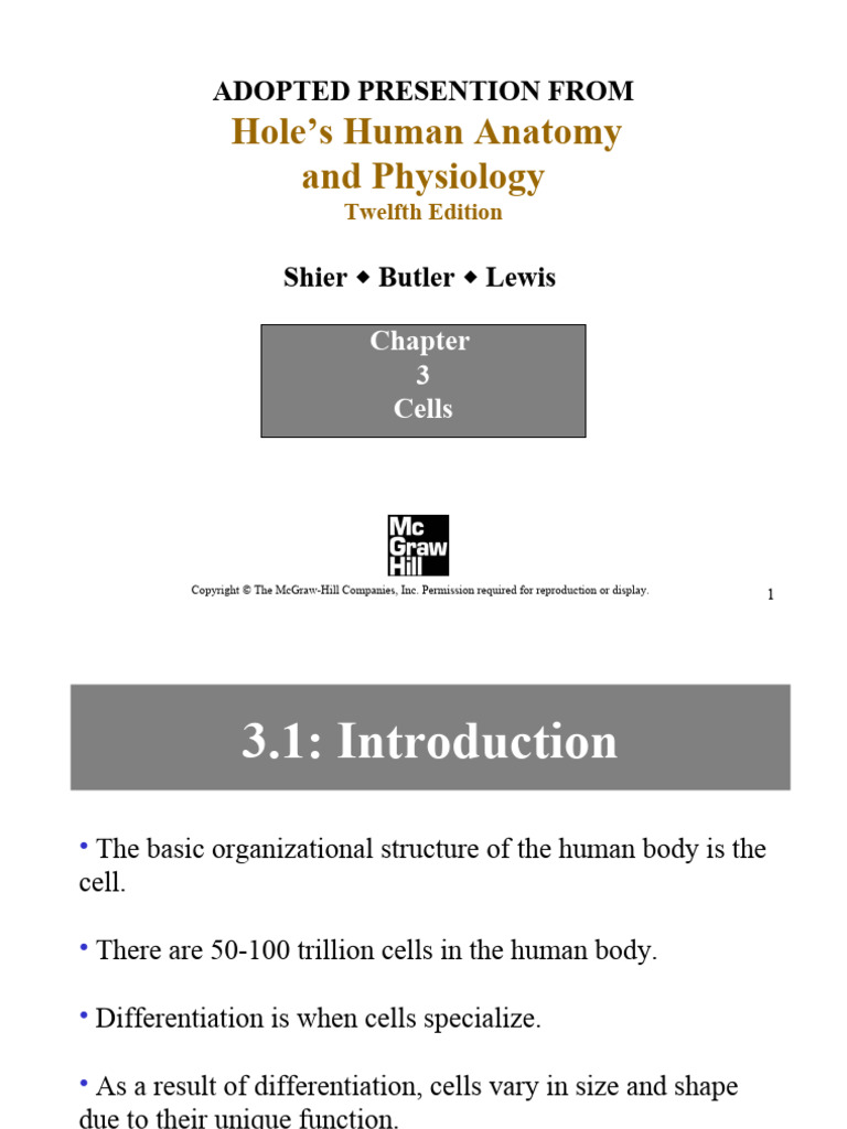 Chapter 3 Cells | PDF | Mitosis | Endoplasmic Reticulum