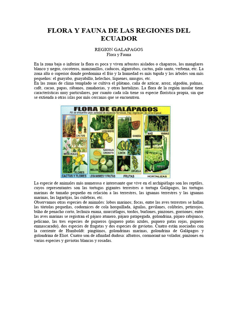 Flora Y Fauna de Las Regiones Del Ecuador: Region Galapagos | PDF ...