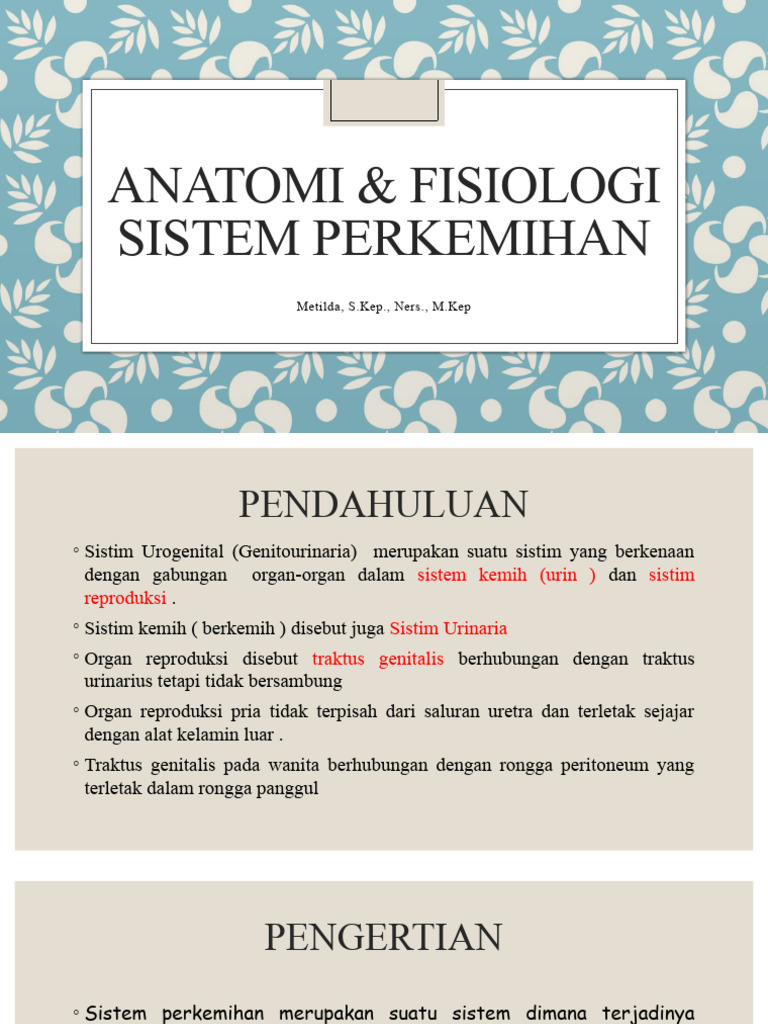 Anatomis dan Fisiologi Sistem Perkemihan | PDF