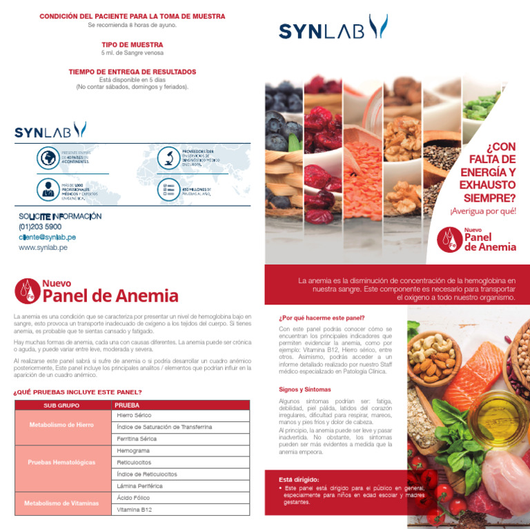 Perfil Anemia Brochure SYNLAB | PDF | Anemia | Medicina