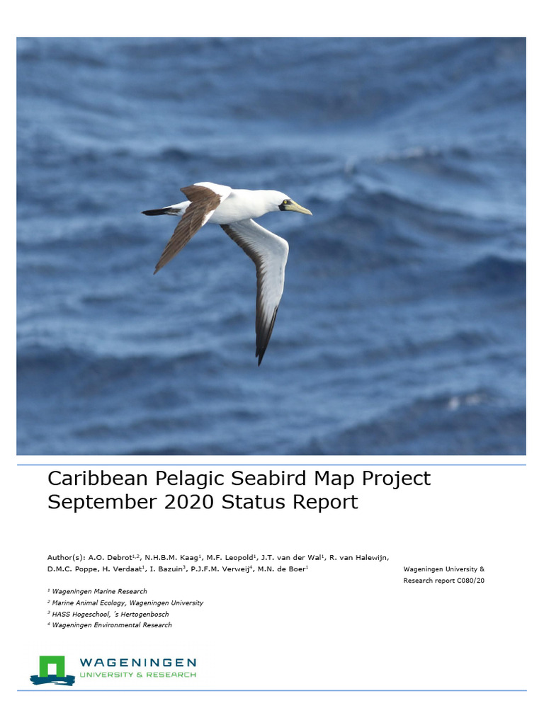 Caribbean Pelagic Seabird Map Project | PDF | Caribbean | Atlantic Ocean