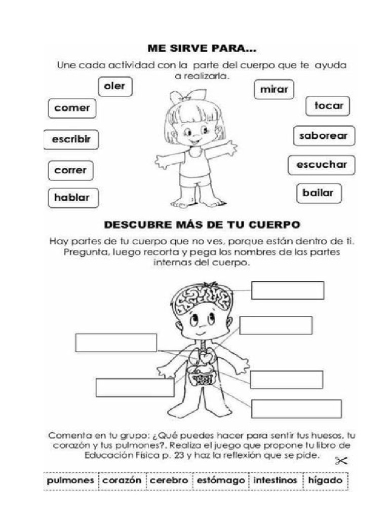 El Cuerpo Humano Pdf