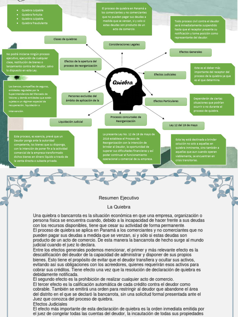 mapa mental, resumen | PDF | Bancarrota | Liquidación