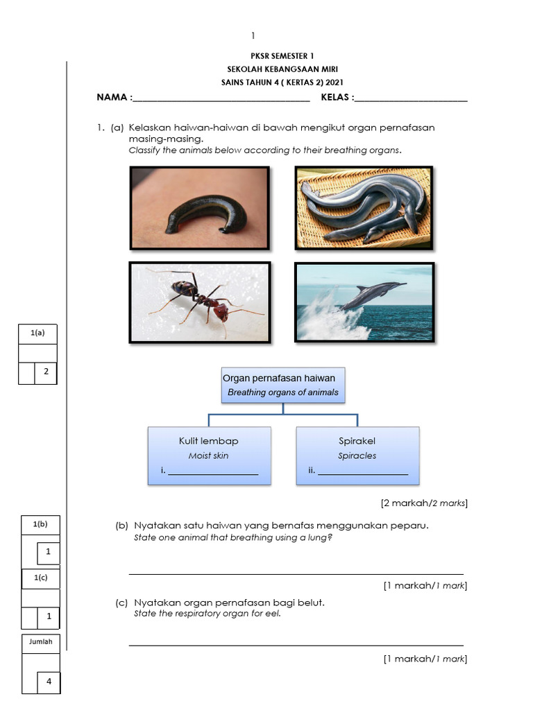 Soalan PPT 2021 - Sains T4 K2 (DLP) | PDF | Biology