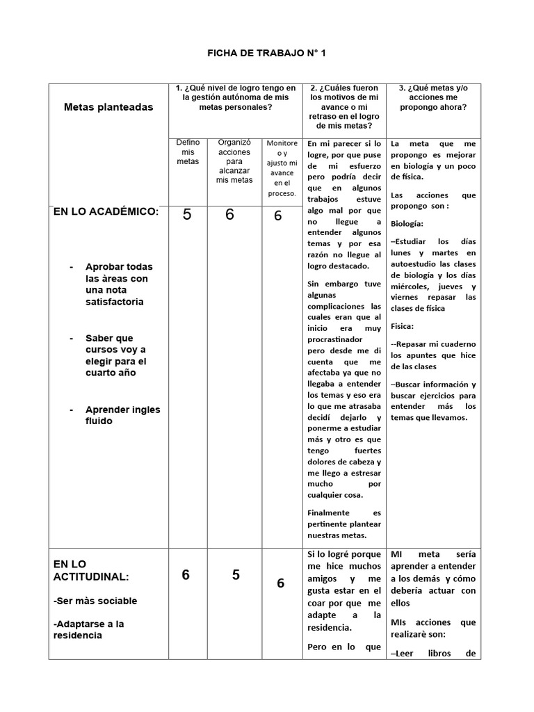 SESIÓN Metas Formato | PDF