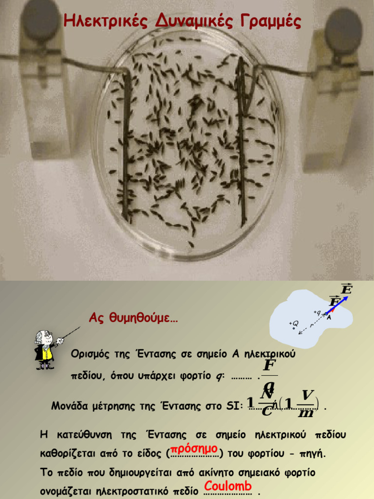 4 - Ηλεκτρικές Δυναμικές Γραμμές | PDF