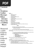 Hiibboo Afaan Oromoo | PDF