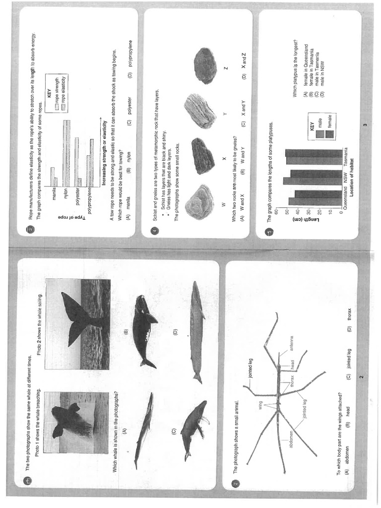 2006 ICAS Science Paper C | PDF