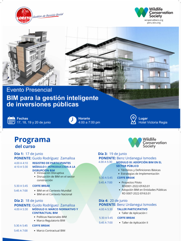WCS - Implementacion Bim | PDF