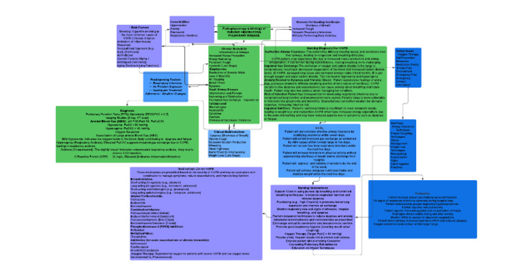 COPD Concept Map Assignment | PDF | Chronic Obstructive Pulmonary Disease | Respiratory Diseases
