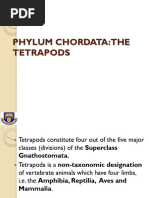 Axolotl Taxonomy | PDF