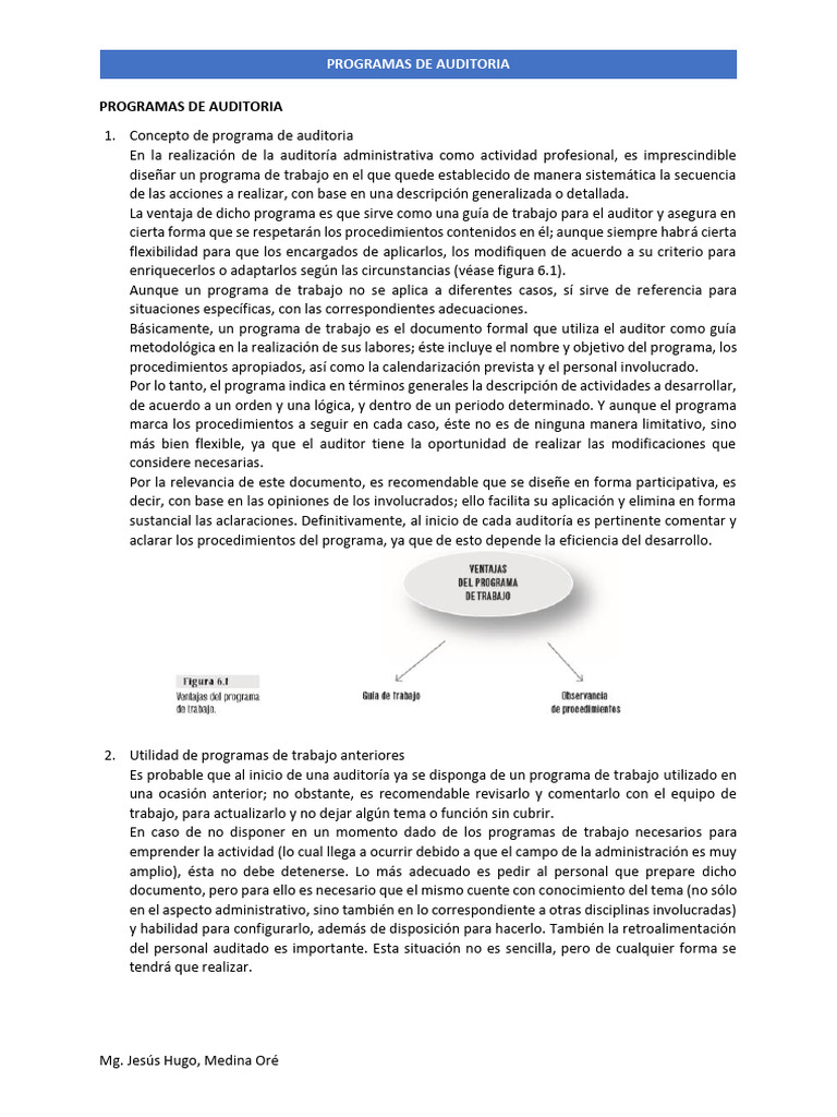 14-Programas de Auditoria | PDF | Auditoría | Contralor