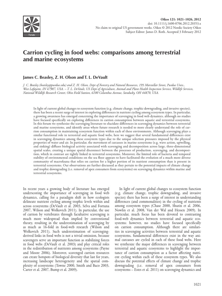 Carrion Cycling in Ecosystems: A Comparison | PDF | Food Web | Ecosystem