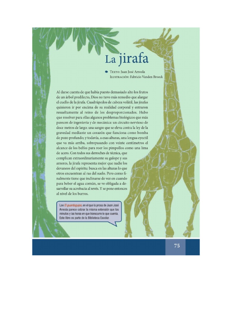 Lectura Jirafa | PDF