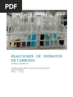 Prueba de Bial | PDF