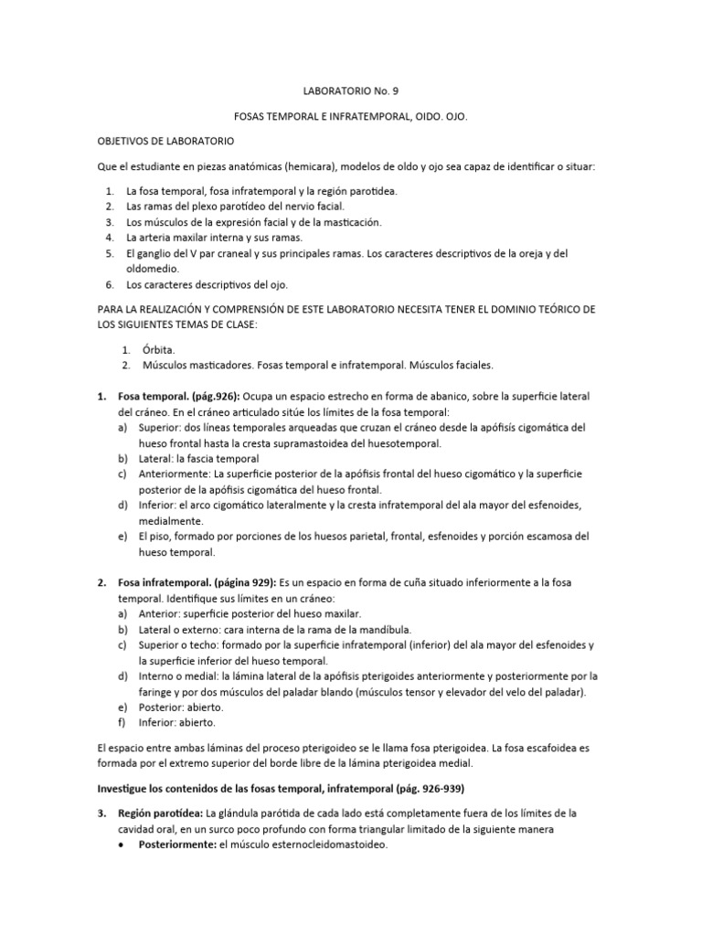 LABORATORIO No 9 MACRO 1 | PDF | Cráneo | Anatomía humana