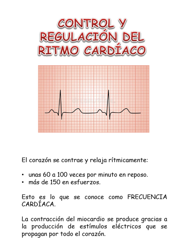 CONTROL Y REGULACIOìN DEL RITMO CARDIACO | PDF | Electrocardiografia ...