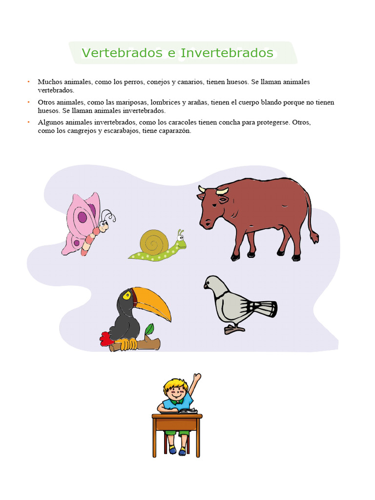 Animales Vertebrados - Invertebrados CA | PDF | Invertebrado | Aves