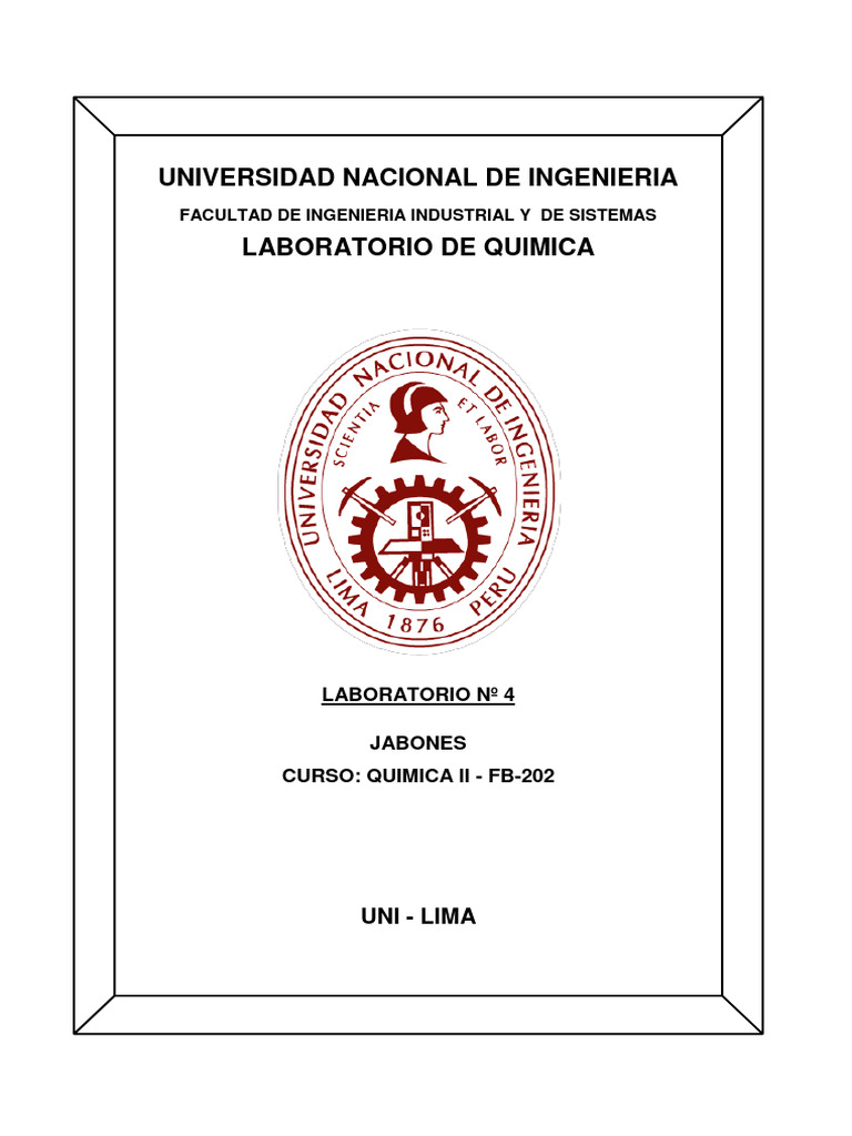 FB202 Lab 4 Jabones | PDF | Jabón | Química