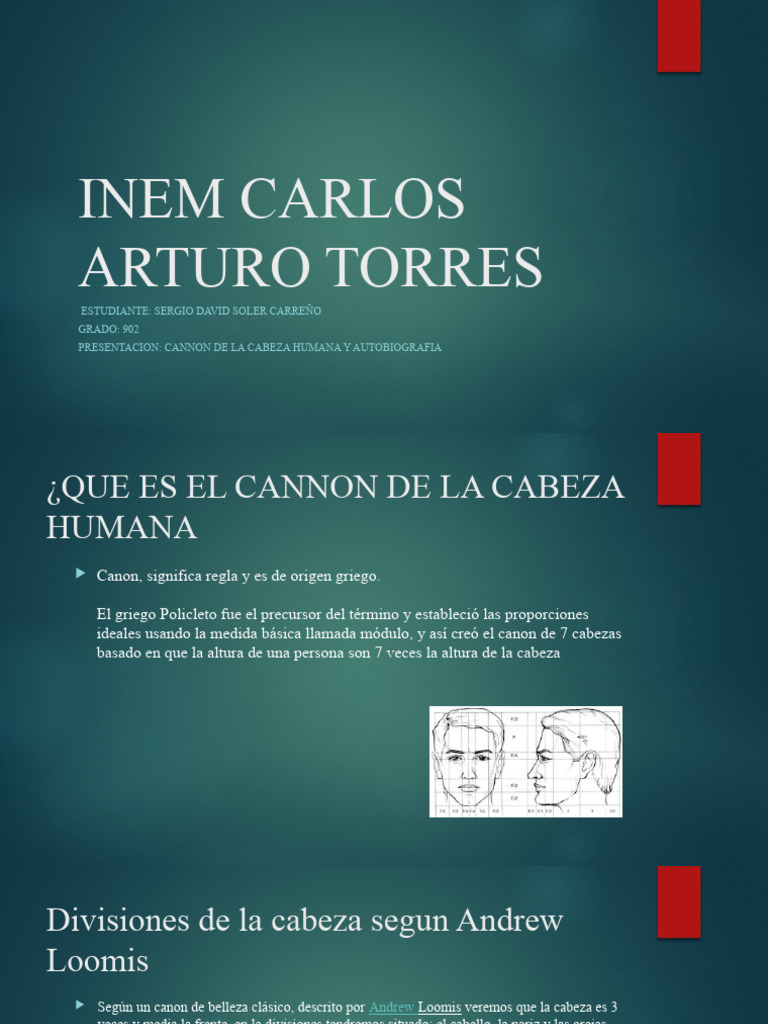 Inem Carlos Arturo Torres P | PDF | Cara