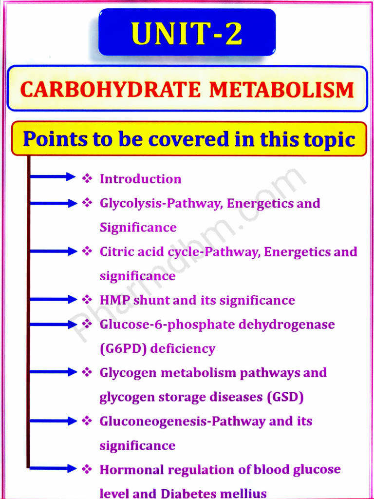 Biochemistry Unit 2 | PDF