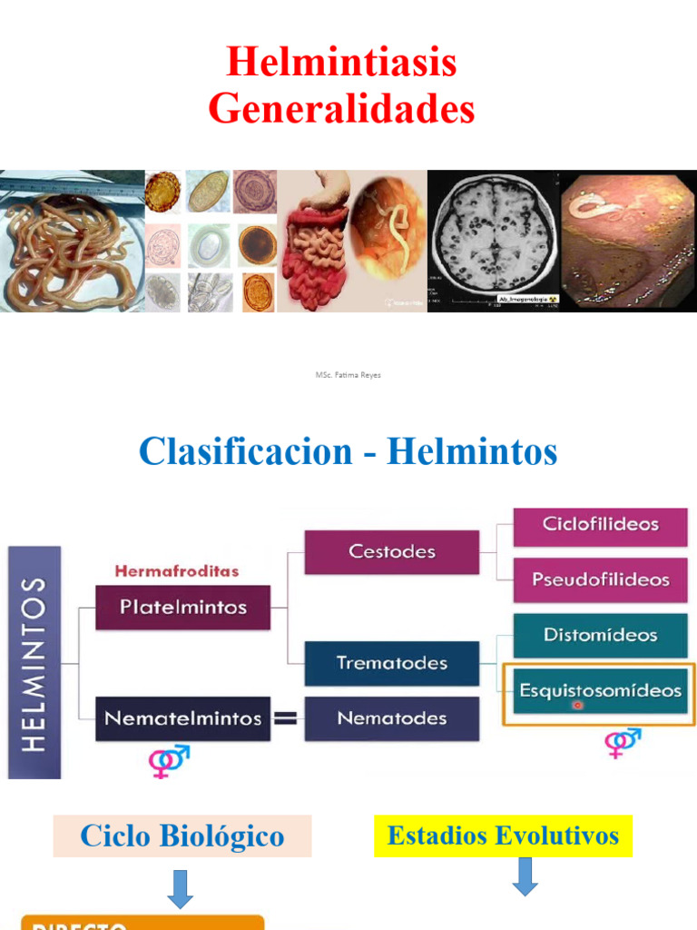 Helmintiasis: Ciclo y Epidemiología | PDF