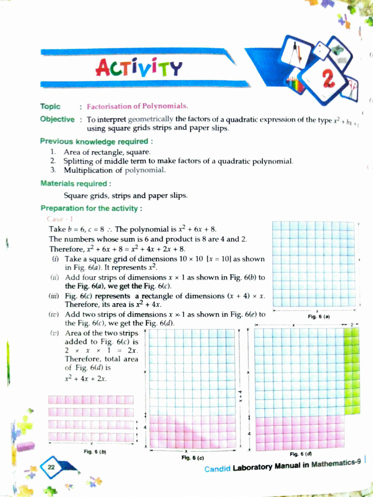 Activity -2(Class IX) | PDF | Factorization | Mathematics