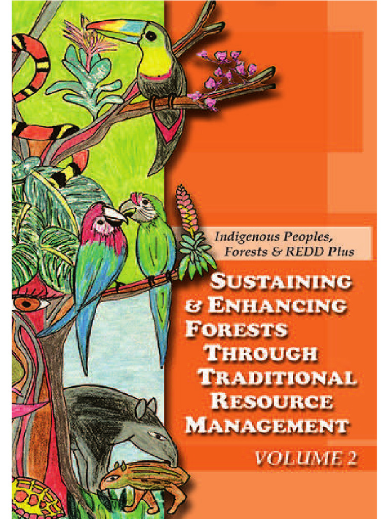 Protecting The Forest Learning From The | PDF | Natural Environment