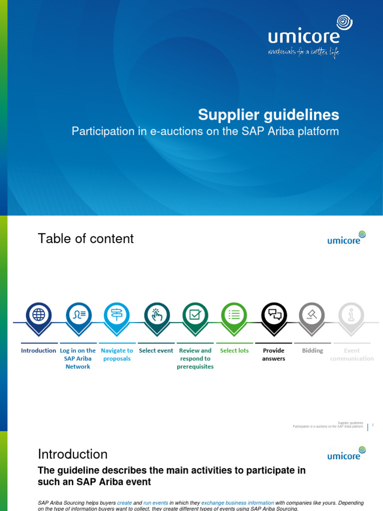 Supplier Guidelines Participation in e Auctions On The Sap Ariba ...