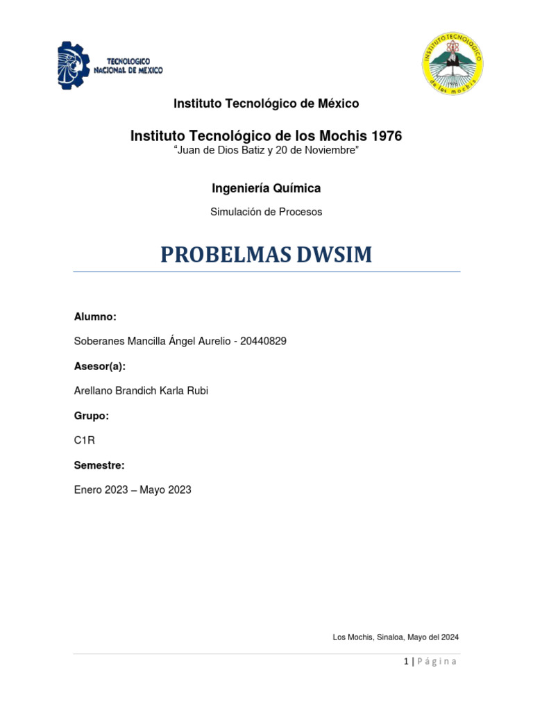 Trabajo Simulador DWSIM | PDF | Reactor Quimico | Química