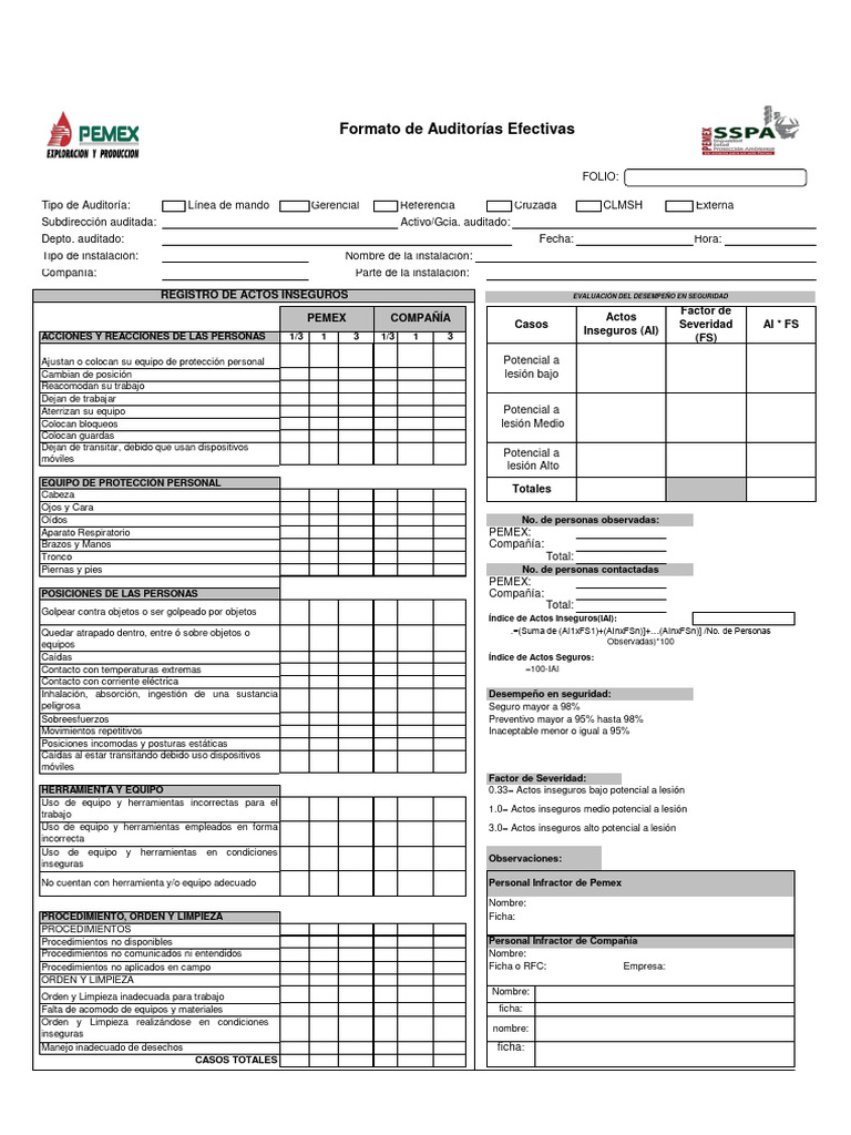 FORMATO_AE_2019 | PDF