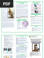Microscopio Casero: Guía DIY | PDF | Microscopio