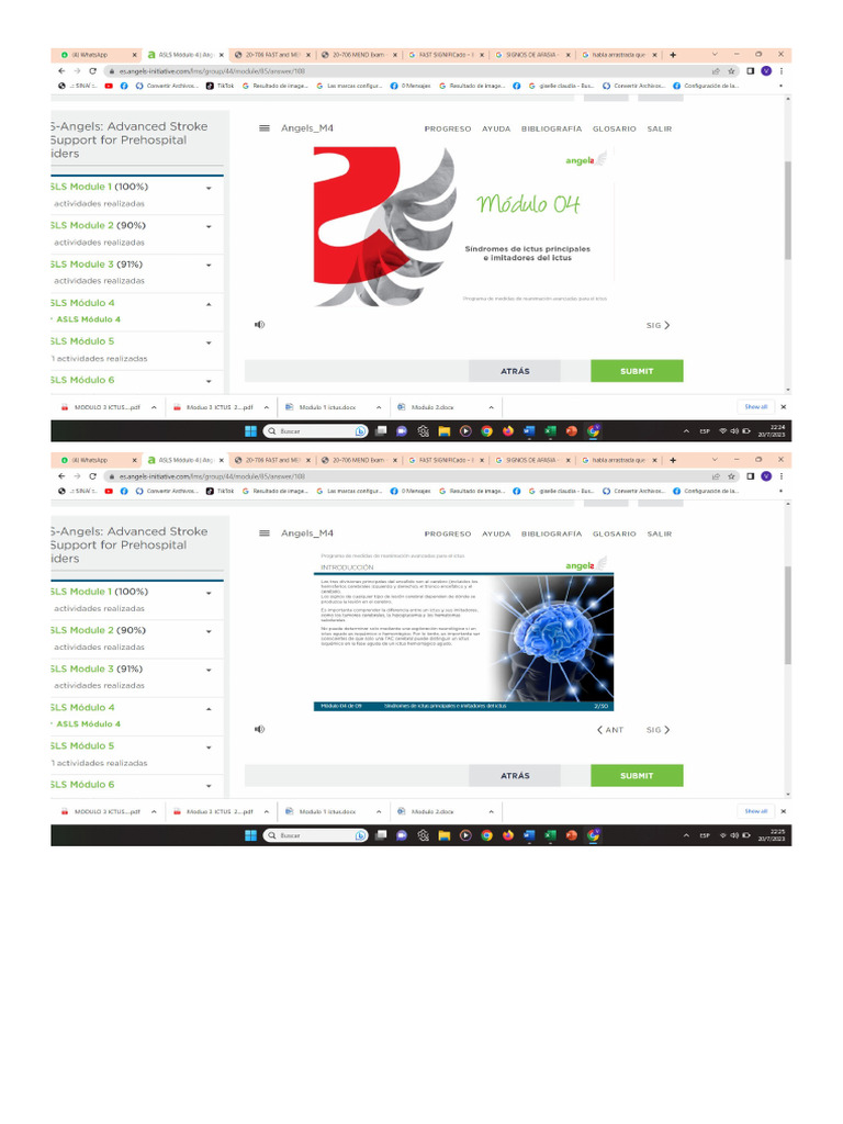 Modulo 4 ICTUS | PDF