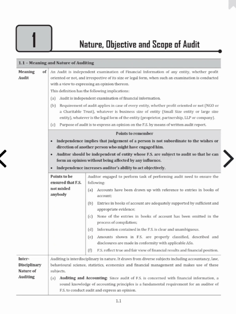 audit ch 1 | PDF