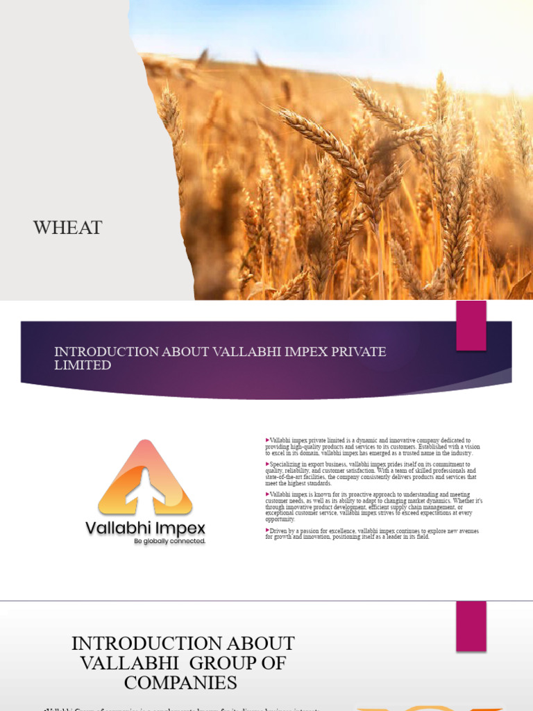 wheat PPT | PDF | Wheat | Foods