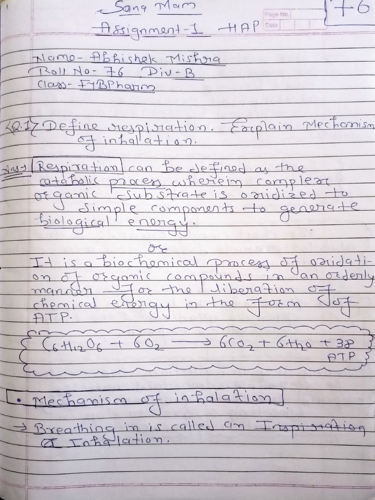 HAP Assignment Roll No 76 | PDF