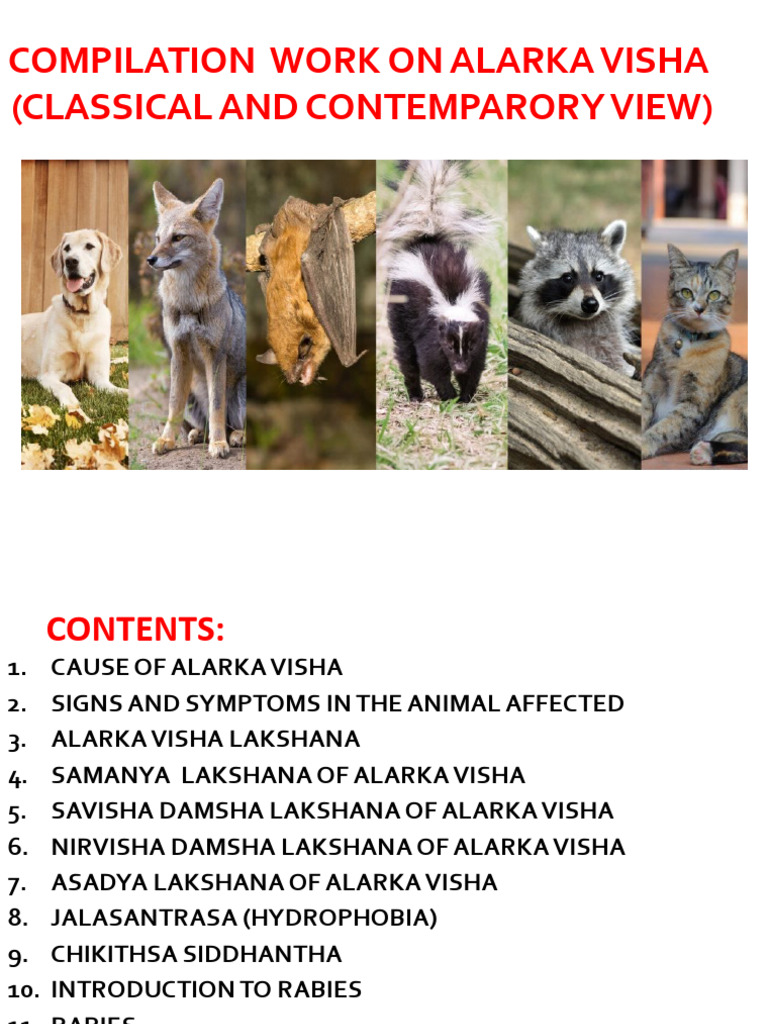Alarka Visha: Causes and Treatments | PDF | Rabies | Diseases And Disorders