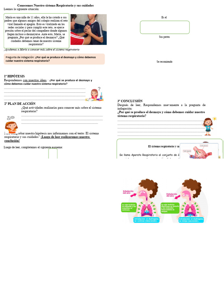 CyT Ficha y Lectura Cyt | PDF