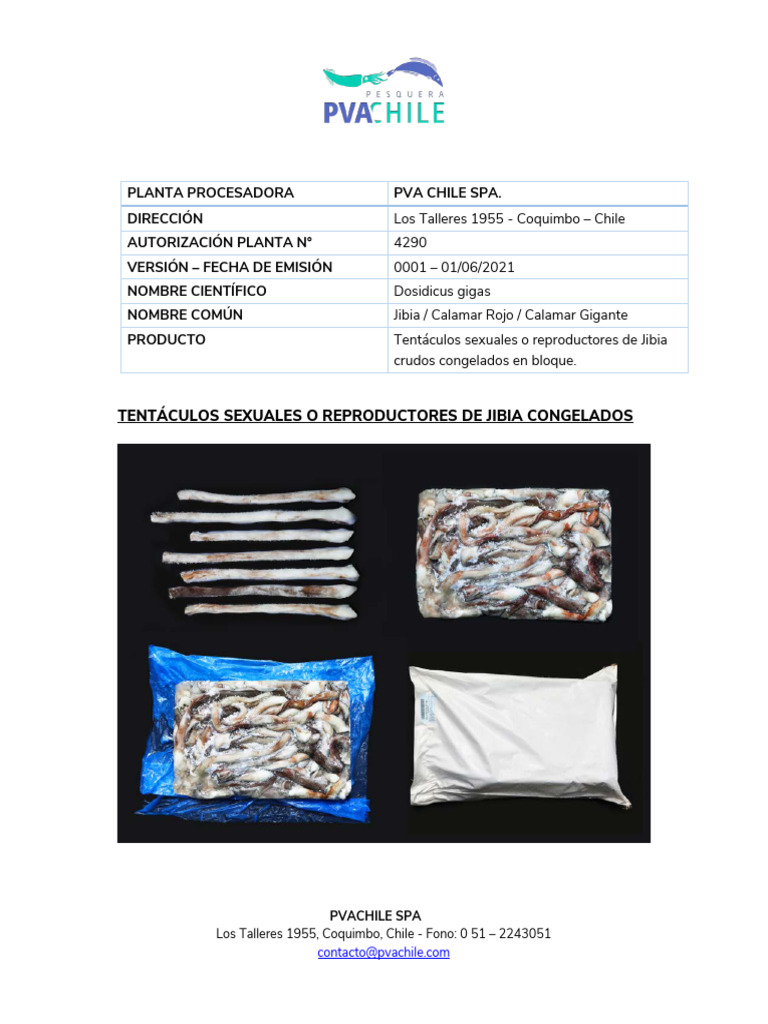 Tentáculos de Jibia Congelados | PDF