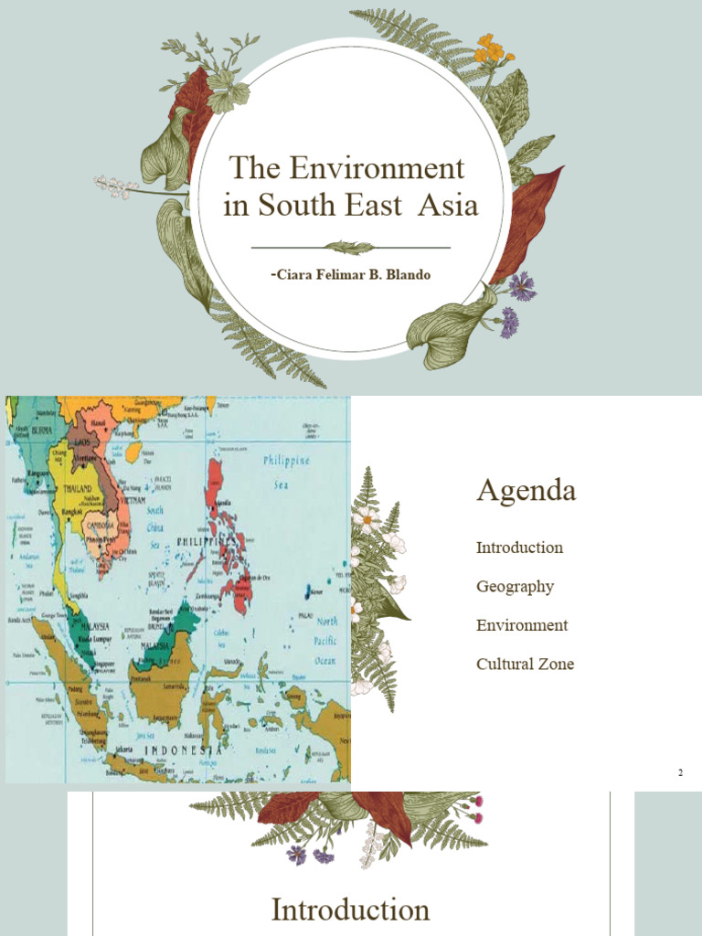 The-Environment-oin-South-East-Asia-Copy | PDF | Southeast Asia ...