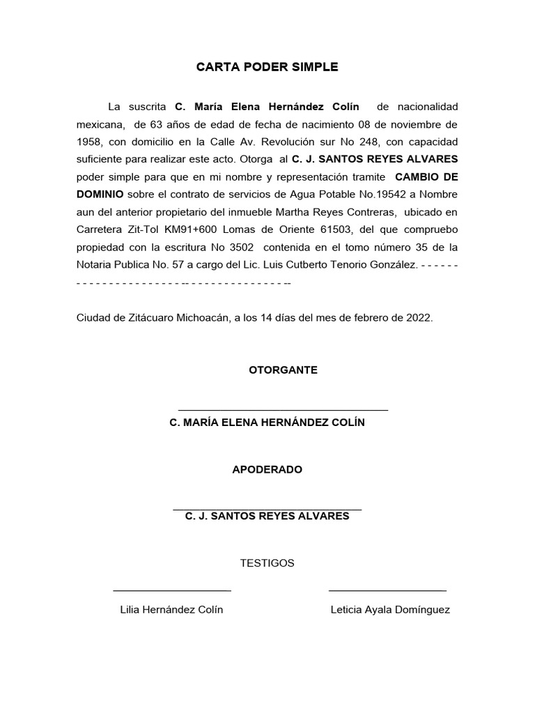 carta poder simple | PDF