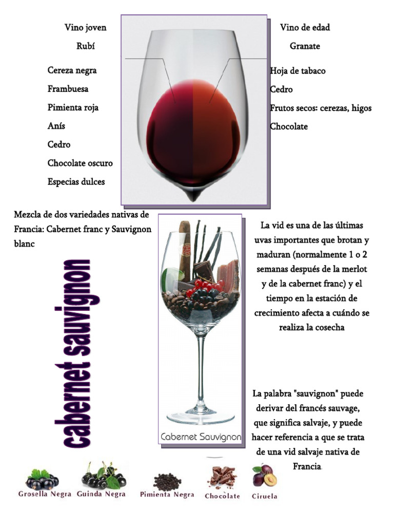 Las Cepas Tintas para Imprimir | PDF | Vino | Uva