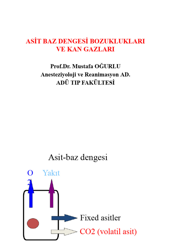 Asit Baz Dengesi-2019 | PDF