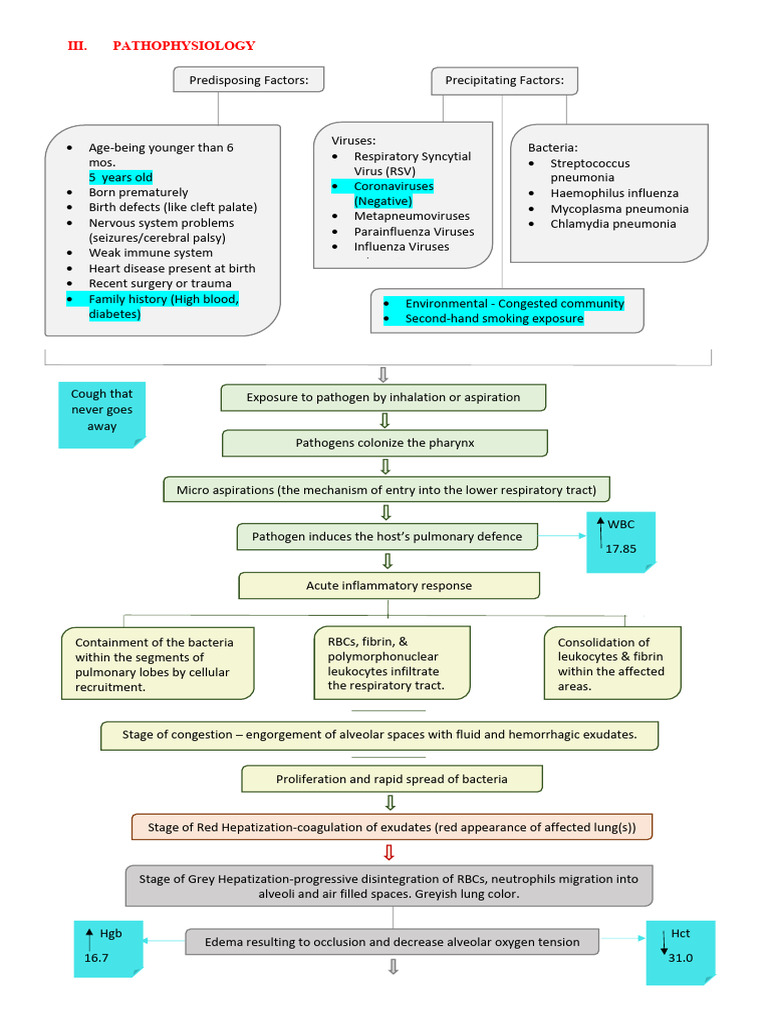 Pcap Patho Final | PDF | Pneumonia | Lung