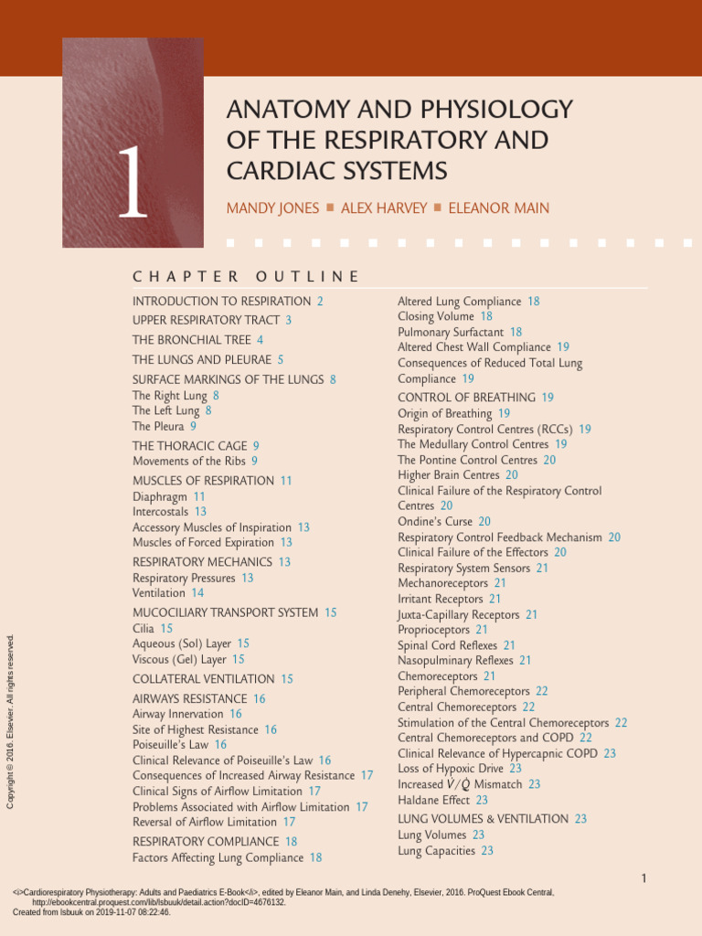 Cardiorespiratory Physiotherapy Adults and Paediat... ---- (1 Anatomy and Physiology of the ...